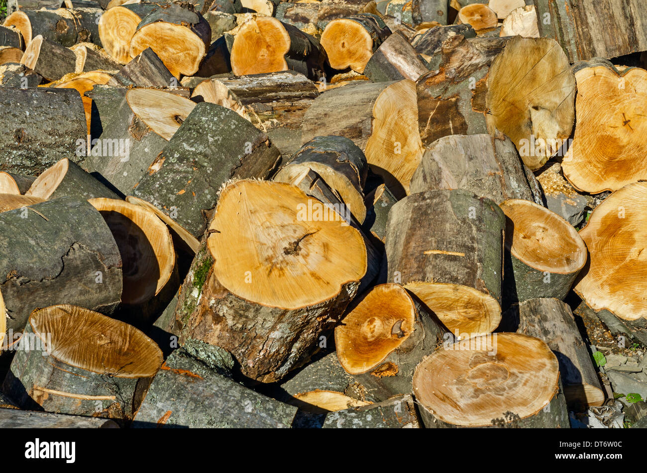 Group of objects chopped timber lumber industry hi-res stock ...
