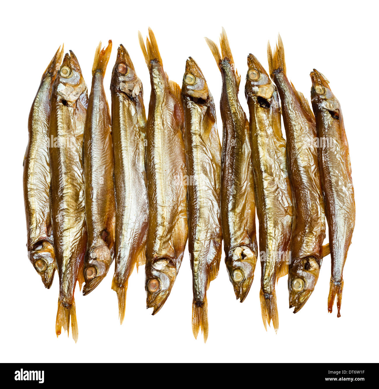 Golden smoked sprats isolated on white background Stock Photo - Alamy