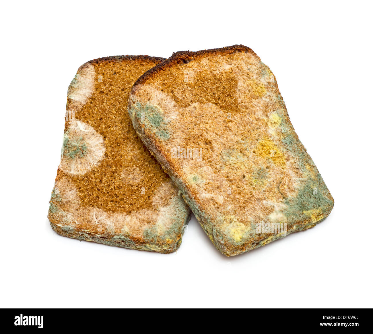Two slices of mouldy rye bread isolated on white background Stock Photo ...