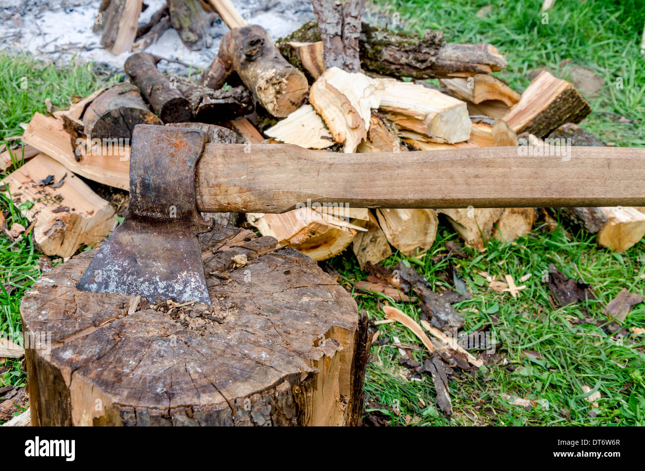 Old axe in stump and firewood on grass Stock Photo - Alamy