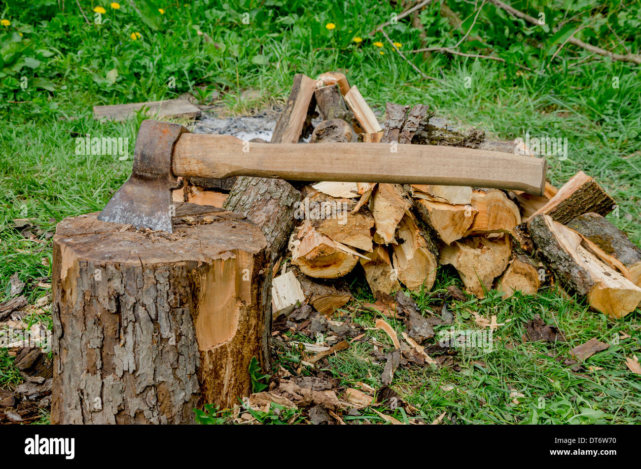 Old axe in stump and firewood on grass Stock Photo - Alamy