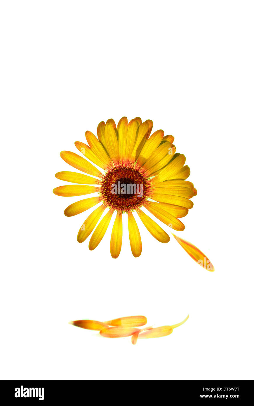 Game guess Cut Out Stock Images & Pictures - Alamy