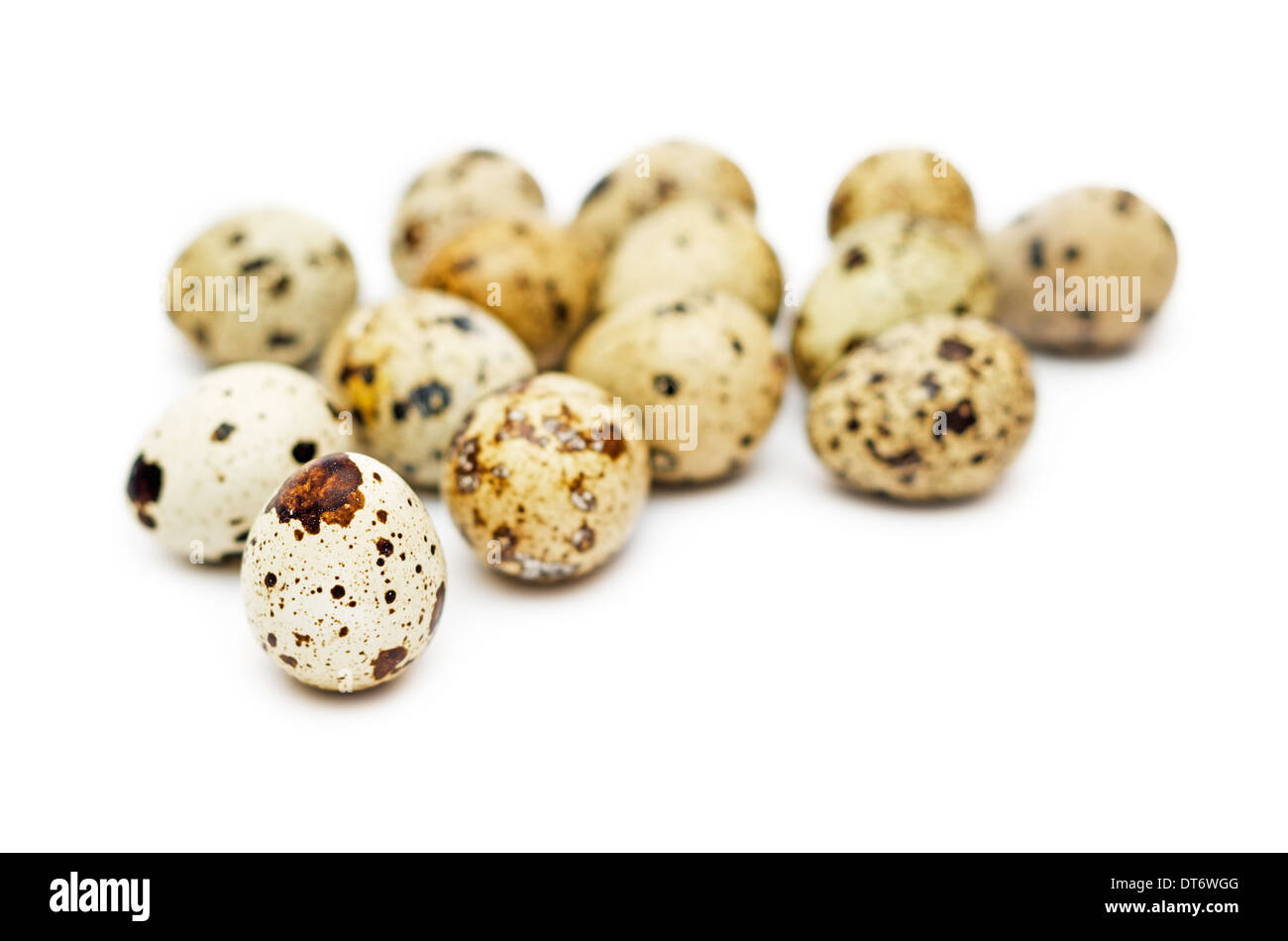 Quail eggs isolated on white background Stock Photo - Alamy