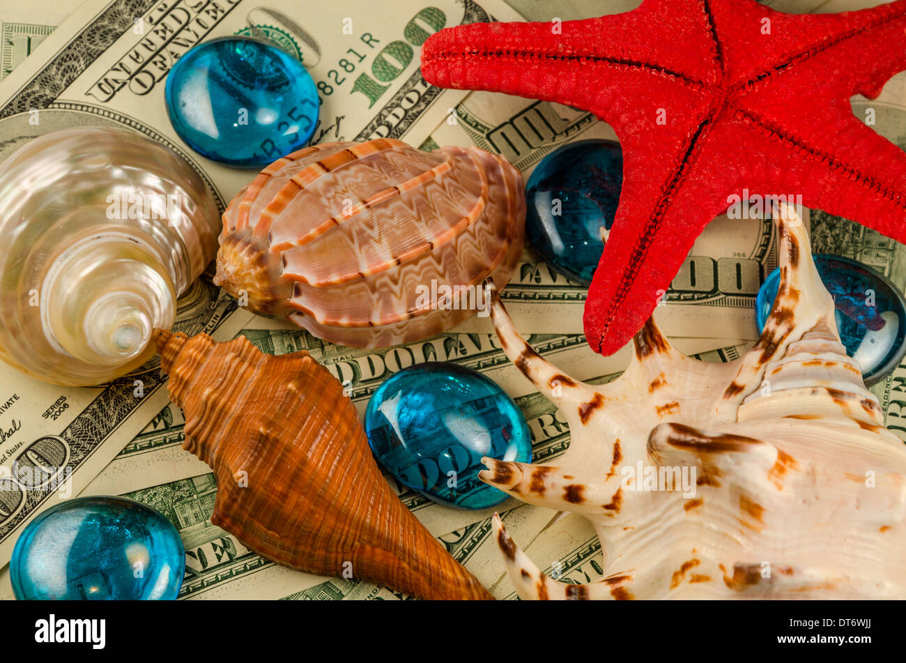 Starfish picture hi-res stock photography and images - Alamy