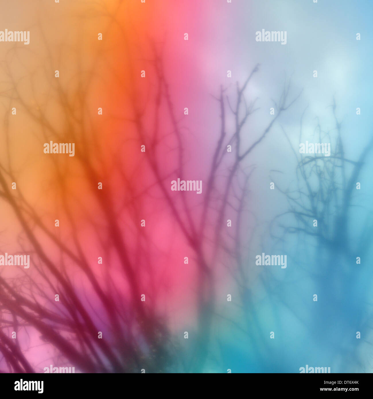 Tree branches blur distorted through painted glass. Nature abstract ...