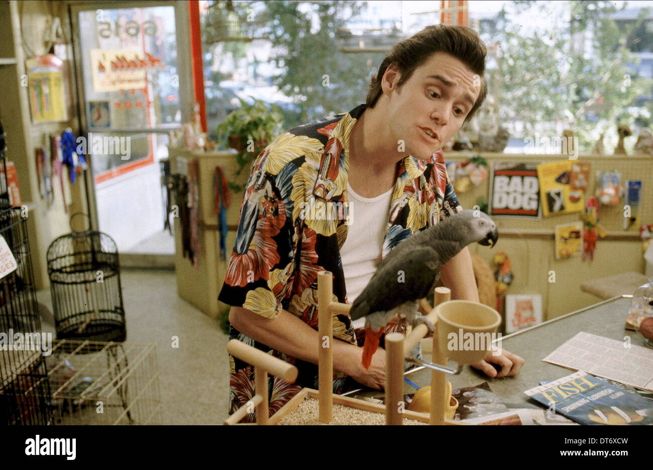 Ace Ventura Pet Detective 1994 High Resolution Stock Photography and ...