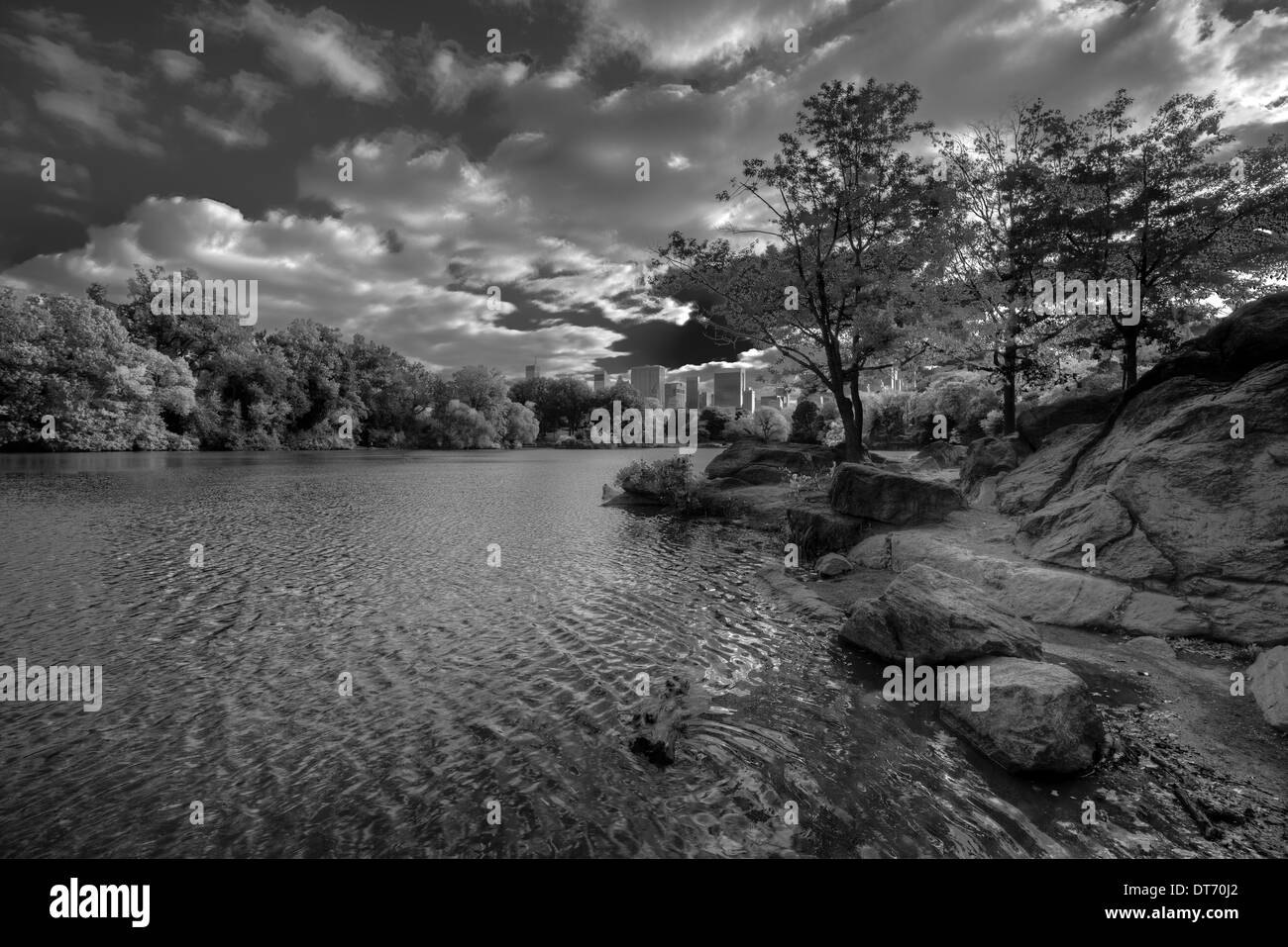 Autumn leaves lake in Black and White Stock Photos & Images - Alamy