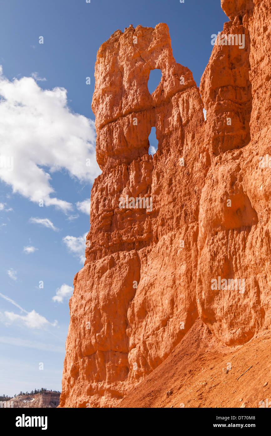 Wall Street in Bryce Amphitheater, Bryce Canyon National Park, Utah ...