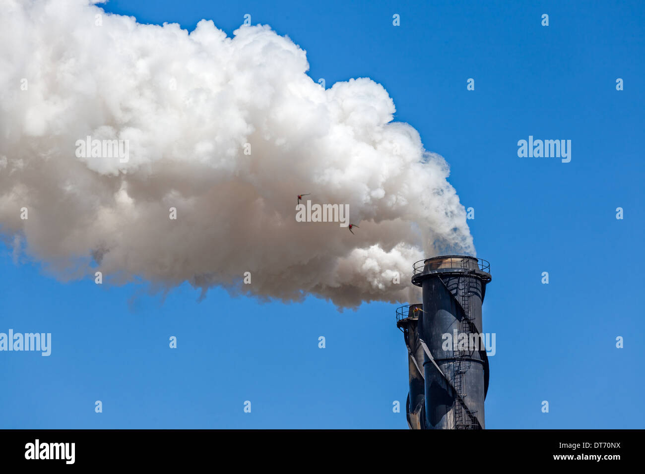 sugar mill smoke stack Tully Stock Photo - Alamy