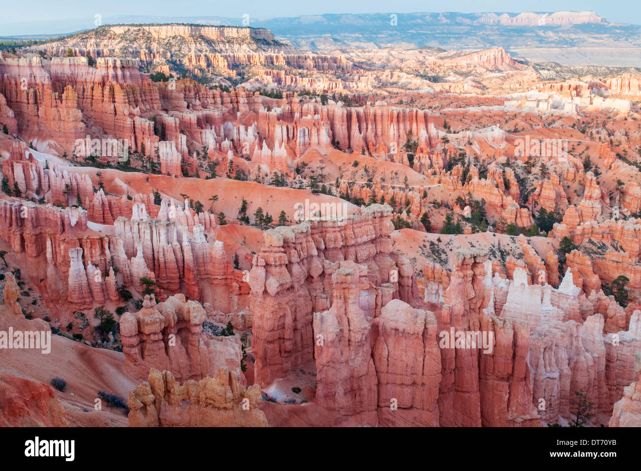 Natural amphitheater ecosystem hi-res stock photography and images - Alamy