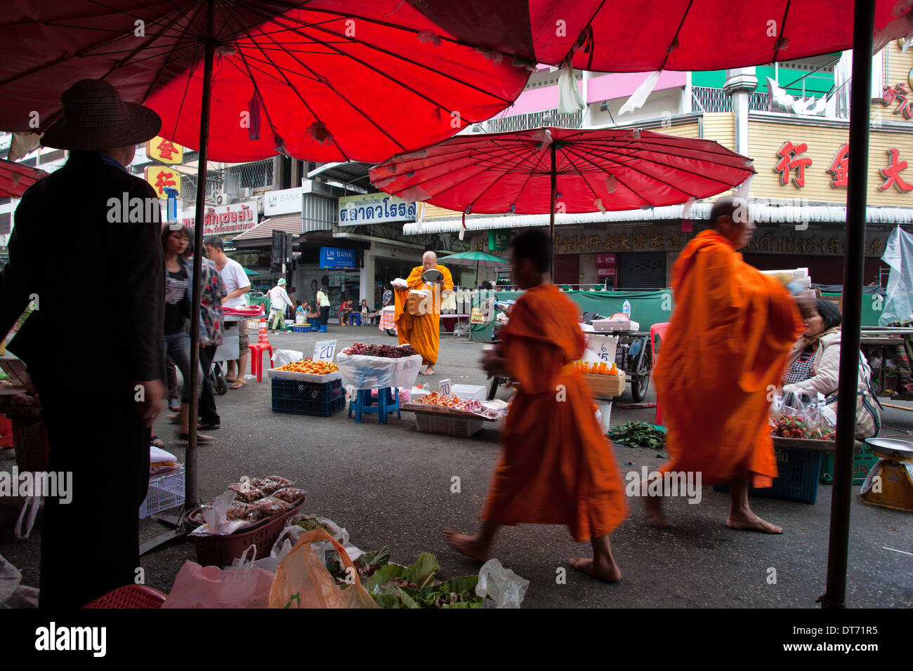A group of monks during early morning Alms Stock Photo - Alamy