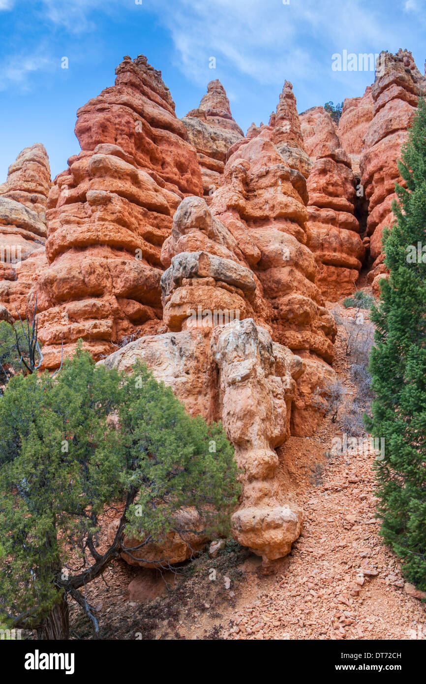 Hoodoos along the Pink Ledge Trail in Red Canyon, Utah Stock Photo - Alamy
