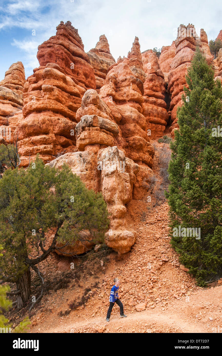 A hiker ascends the Pink Ledge Tail in Red Canyon, Dixie National ...