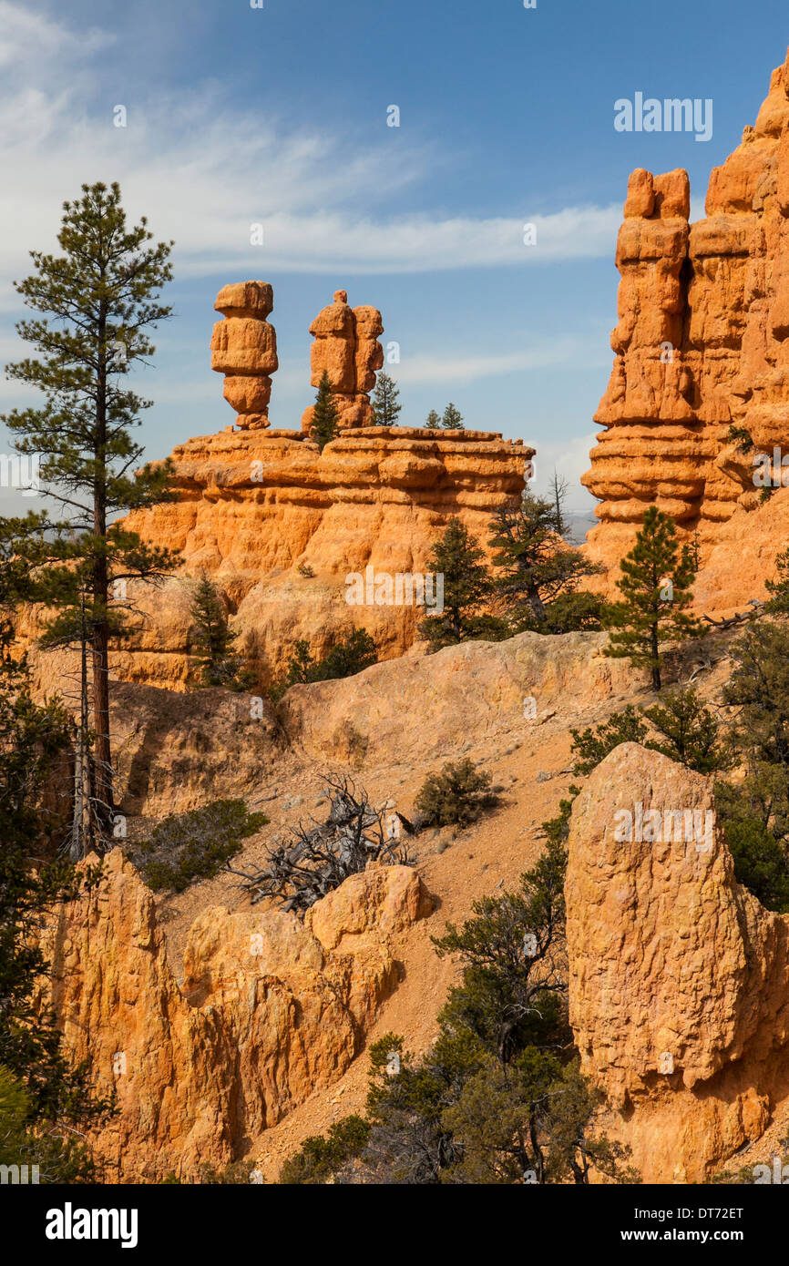 Dixie springs hi-res stock photography and images - Alamy