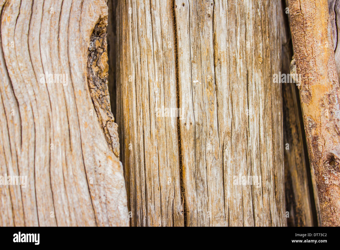 Old wood sticks Stock Photo - Alamy
