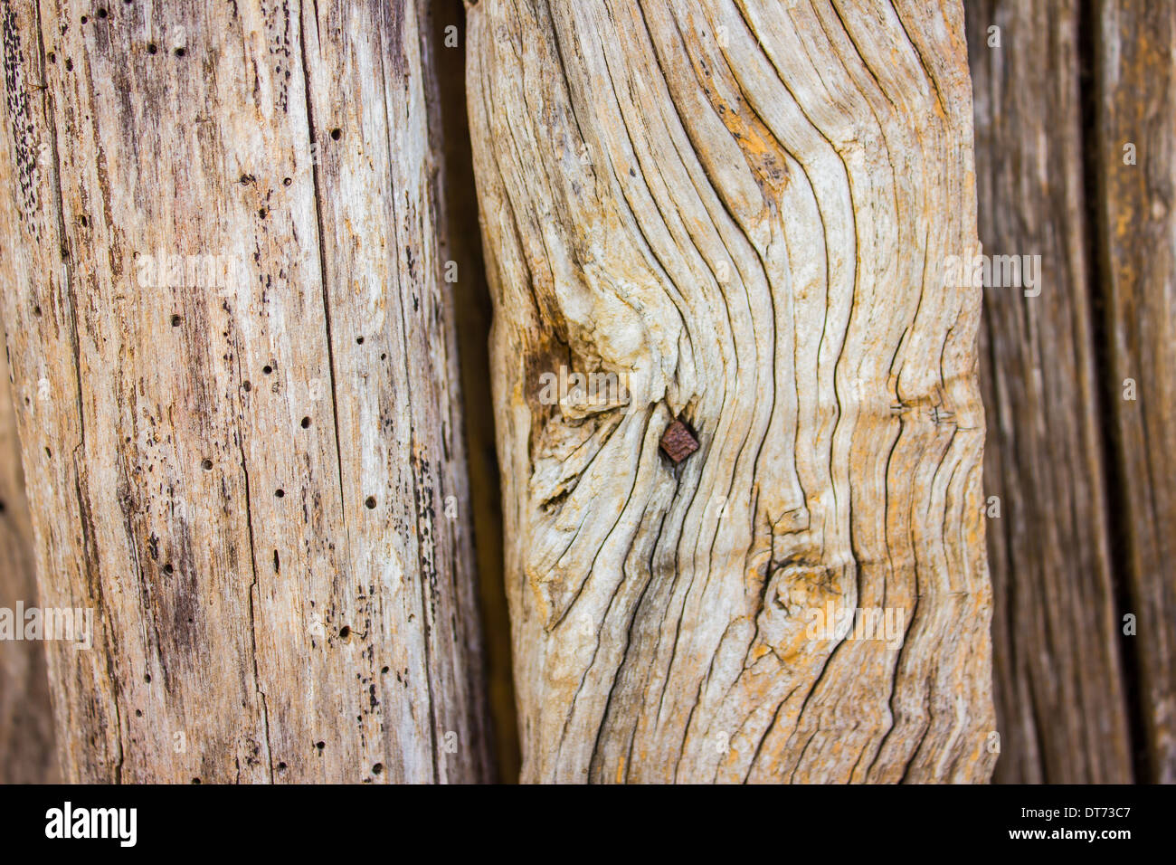 Old wood sticks Stock Photo - Alamy