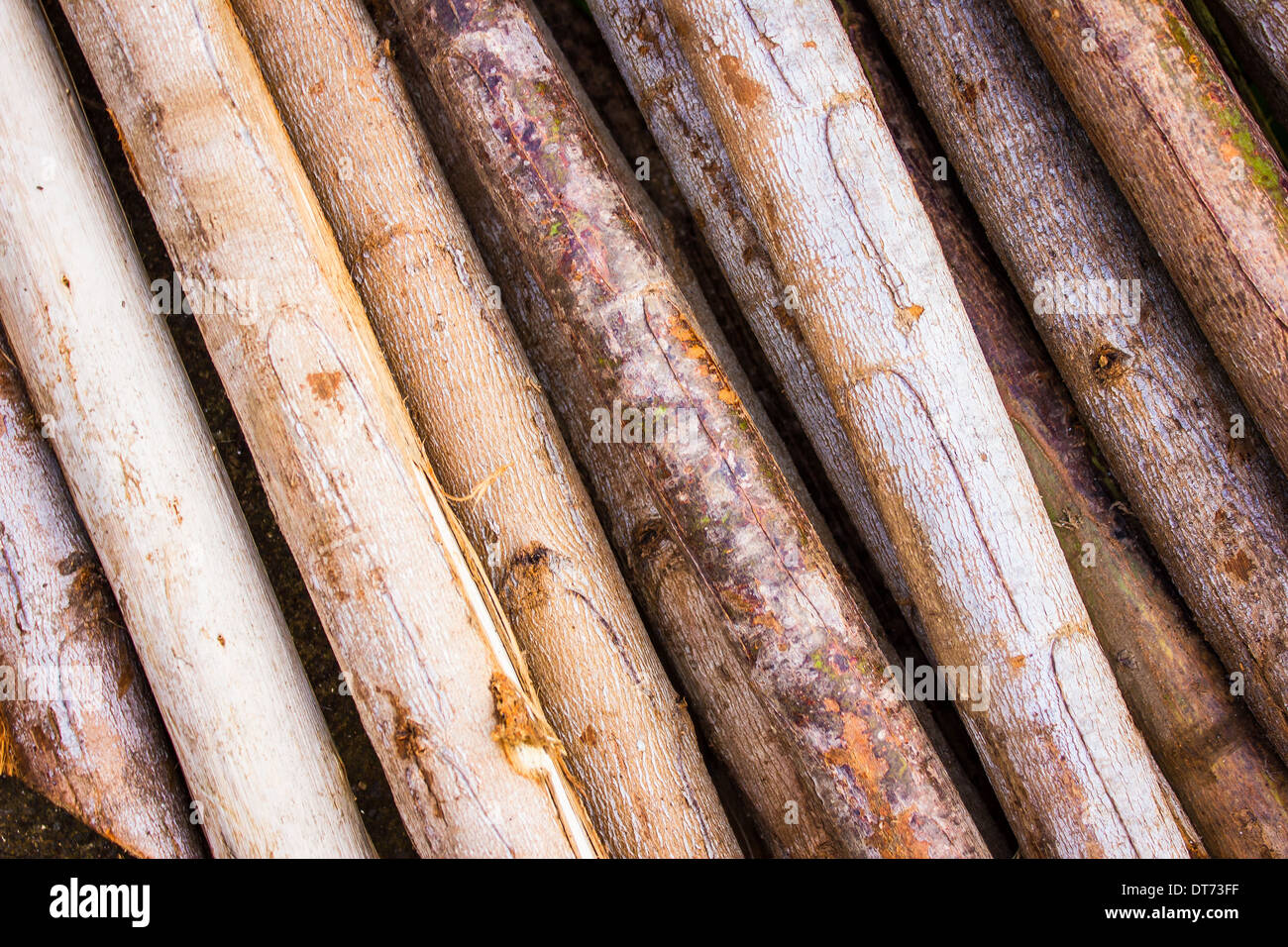 Old wood sticks Stock Photo - Alamy