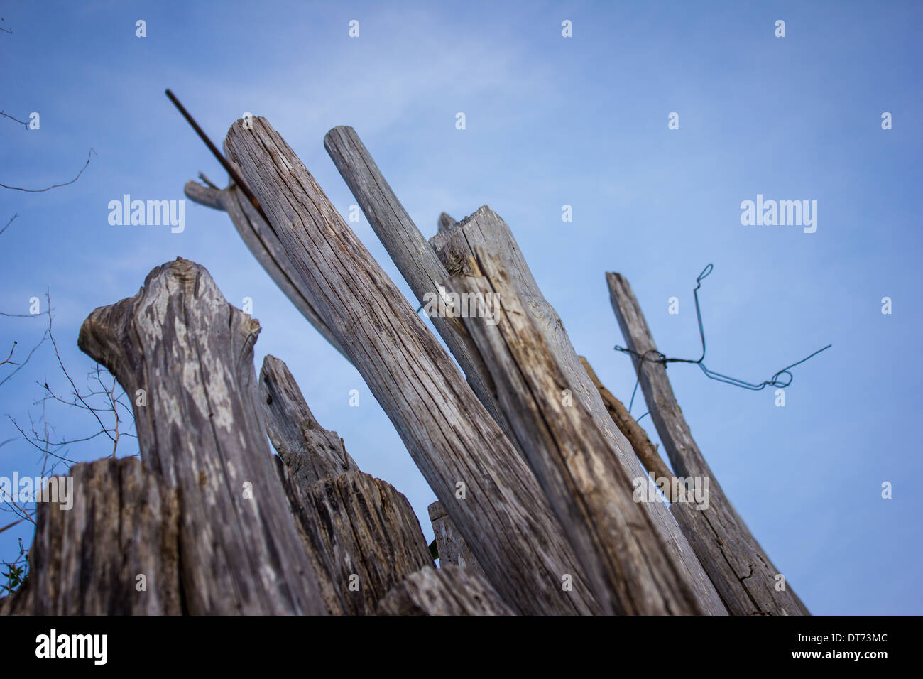 Old wood sticks Stock Photo - Alamy