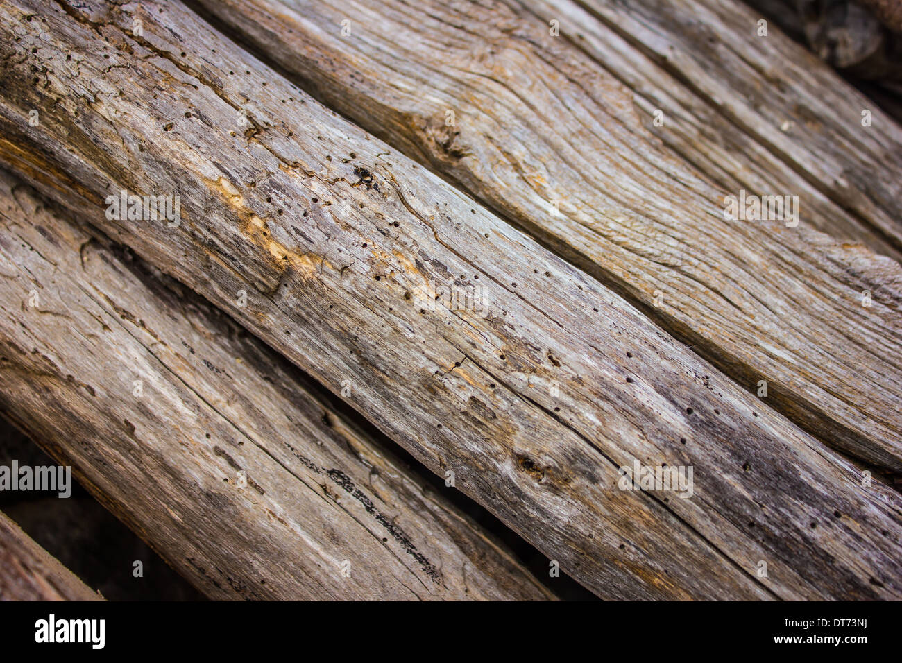 Old wood sticks Stock Photo - Alamy