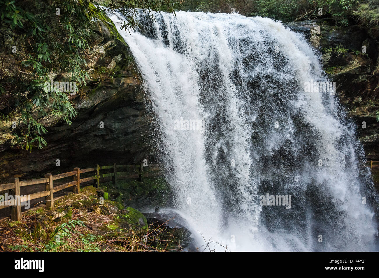 A scenic walking trail winds under a rock ledge behind the watery ...