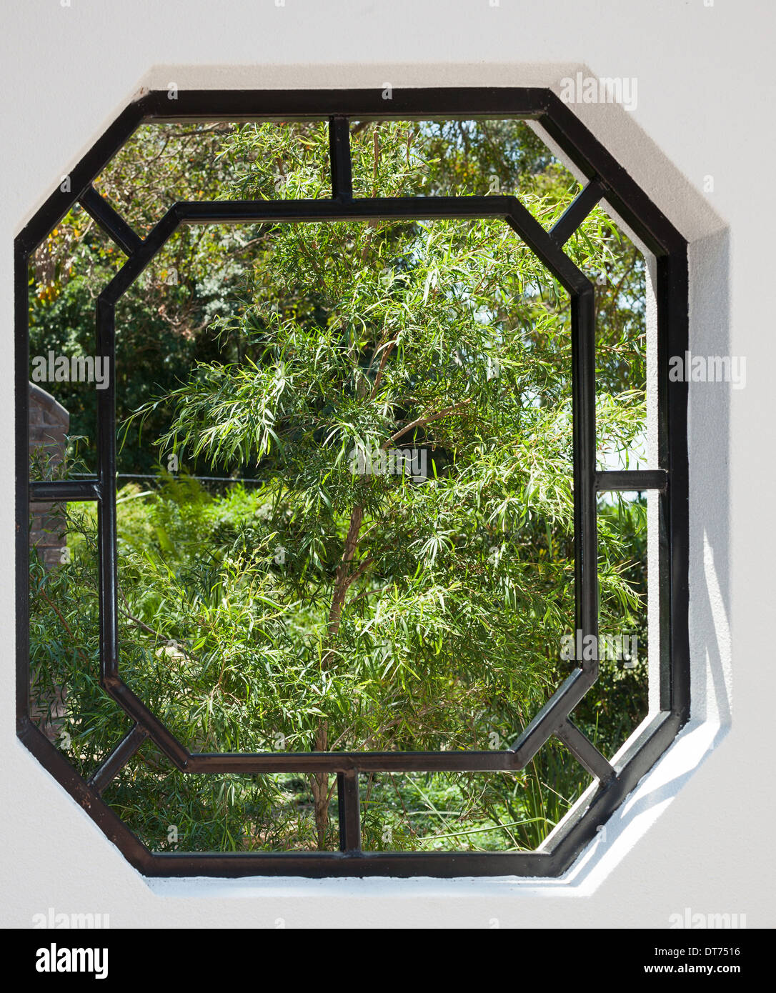 Window grass outside hi-res stock photography and images - Alamy