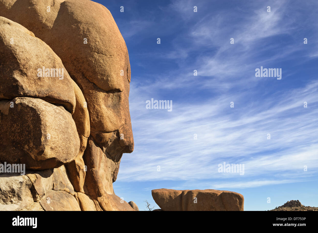 rock face that appears to be a human head in Joshua Tree National Park ...
