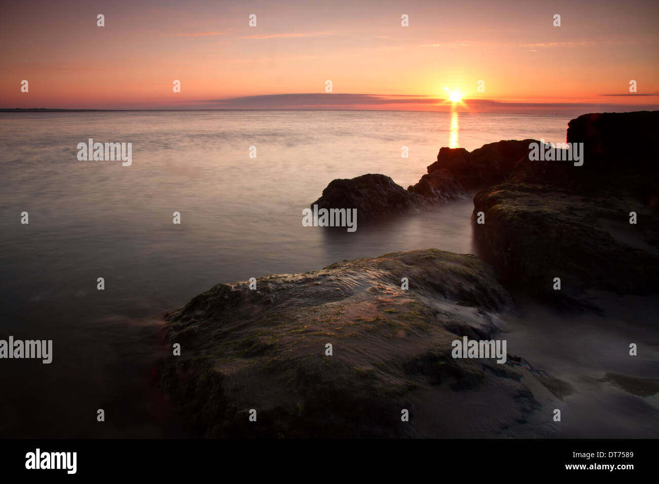 Talbot island sunrise hi-res stock photography and images - Alamy
