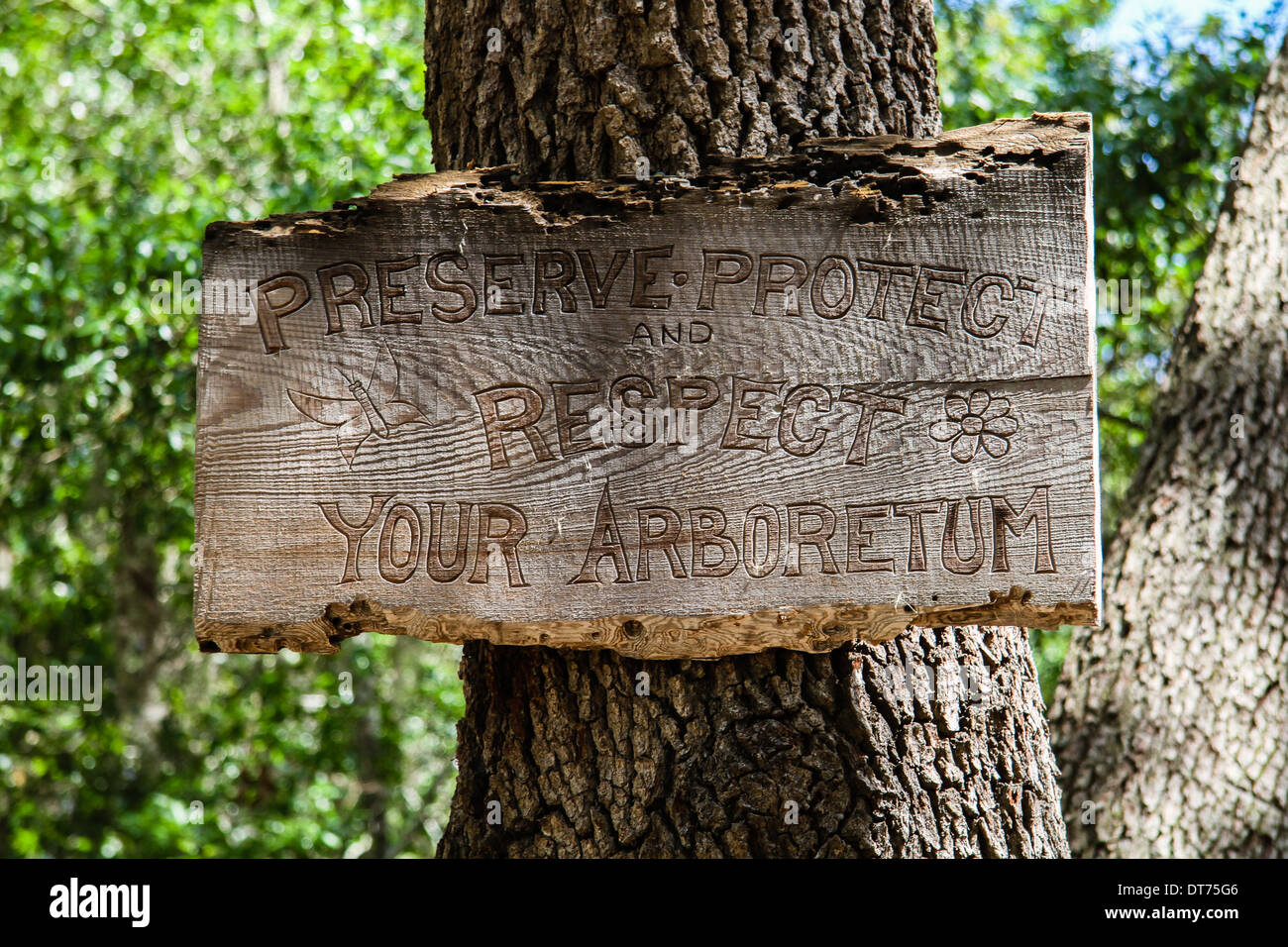 Respect and protect hi-res stock photography and images - Alamy