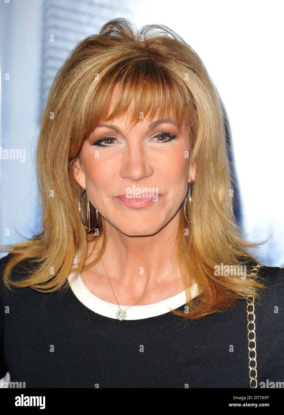 Los Angeles, CA, USA. 10th Feb, 2014. Leeza Gibbons at arrivals for ...