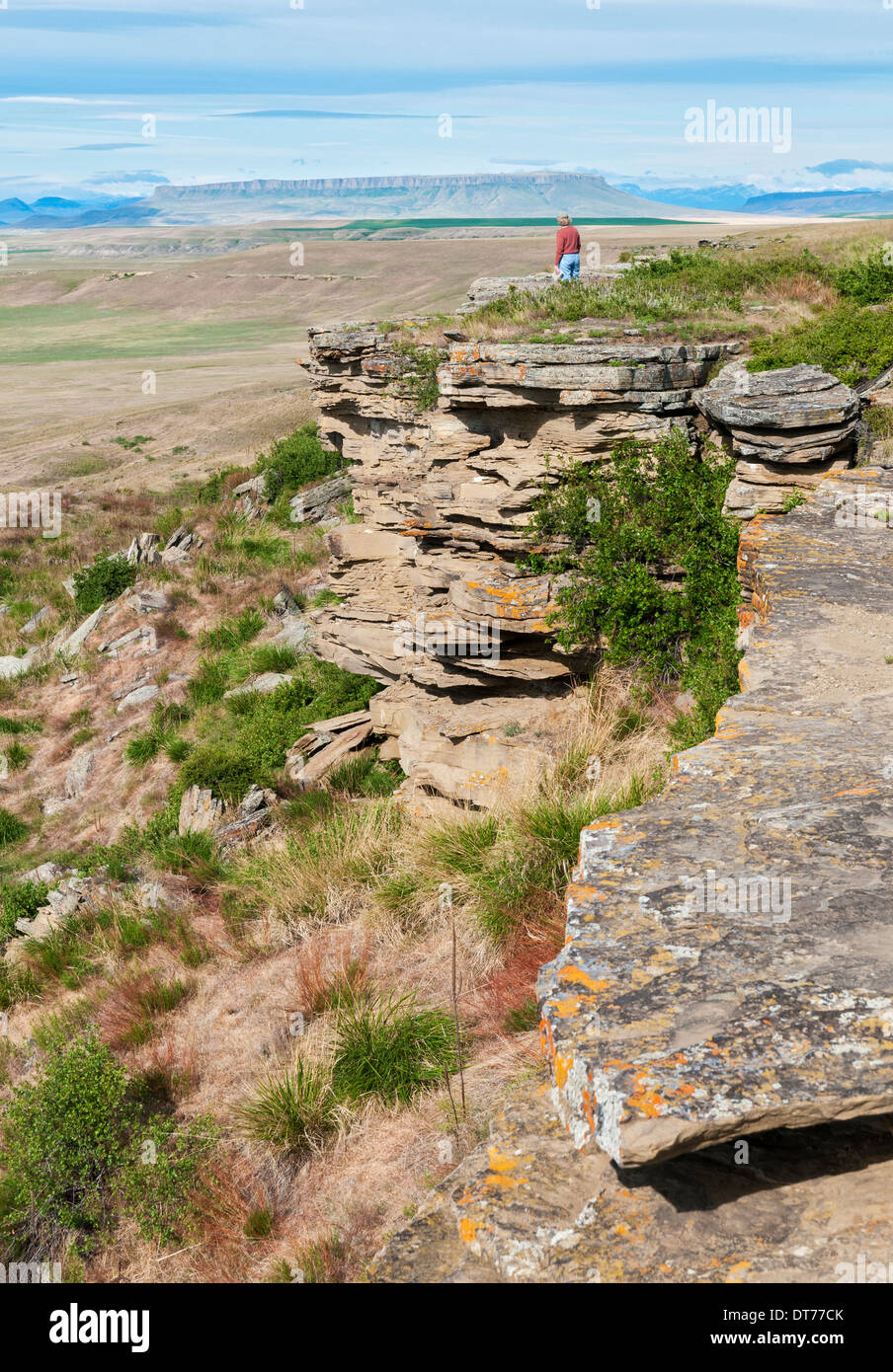 Montana, Ulm, First Peoples Buffalo Jump State Park, female visitor ...
