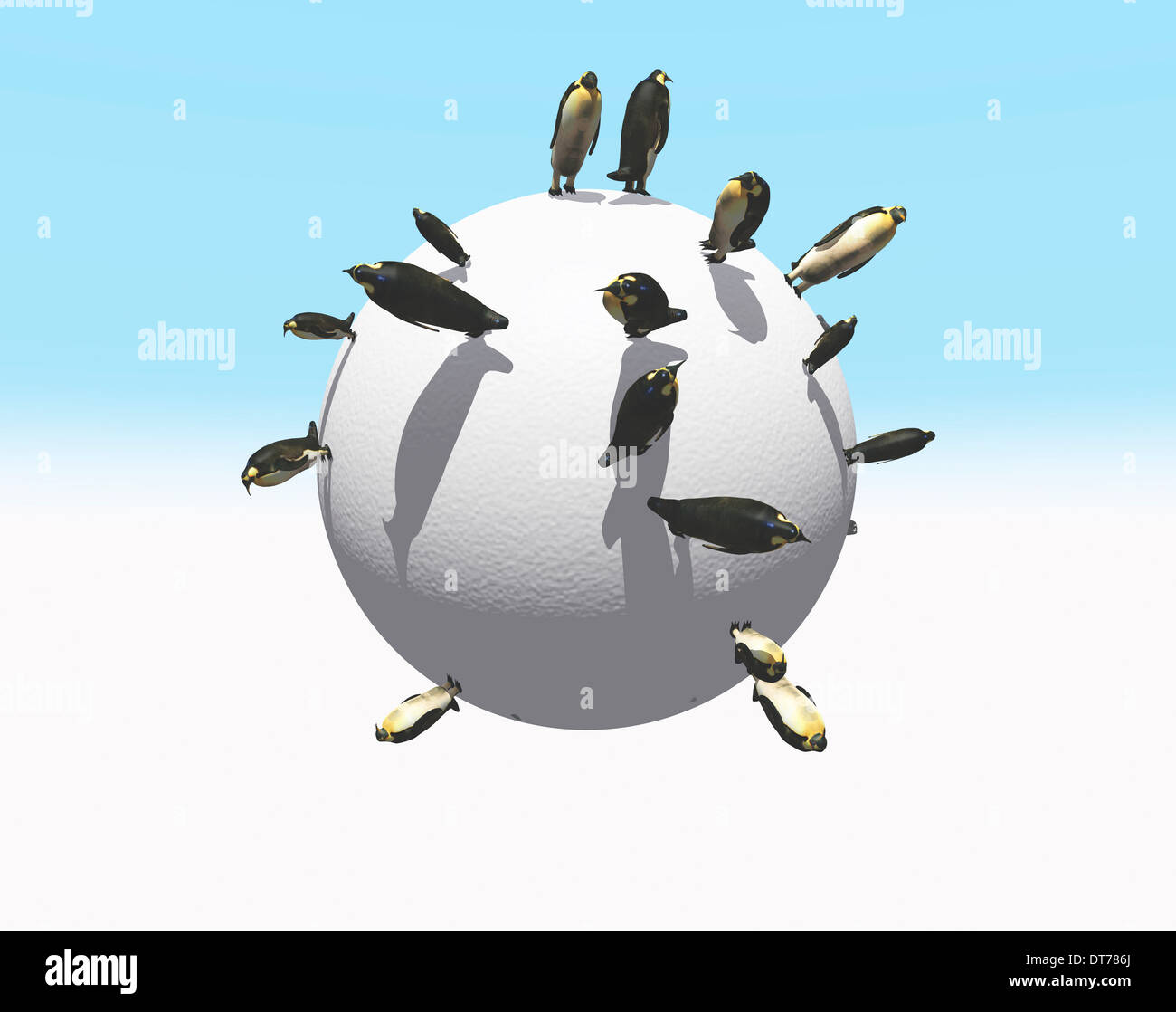 Miniature penguin hi-res stock photography and images - Alamy