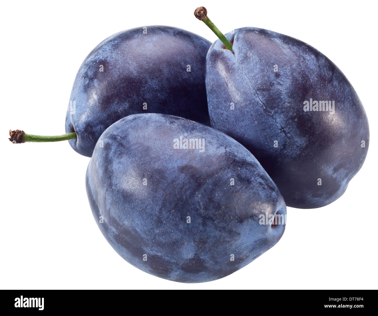 Three plums with leaf isolated on a white background Stock Photo - Alamy