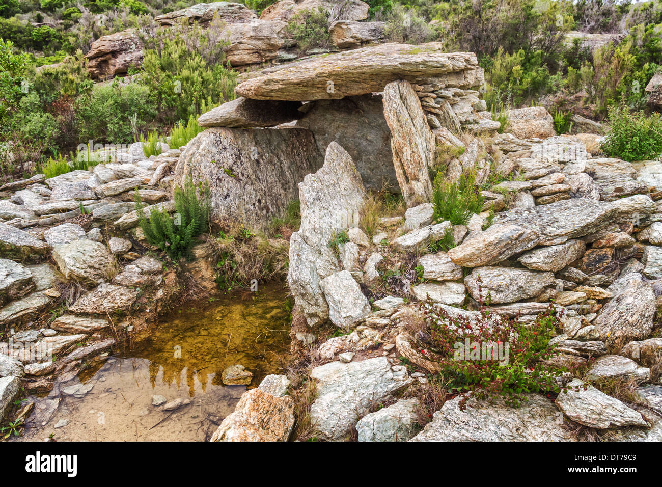 Prehistoric Dolmen (burial site) at Revincu in the Desert des Agriates ...