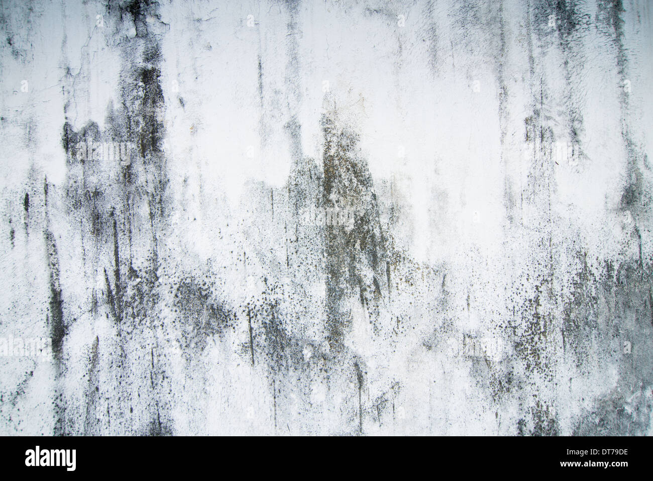 moldy black and white abstract wall texture Stock Photo - Alamy