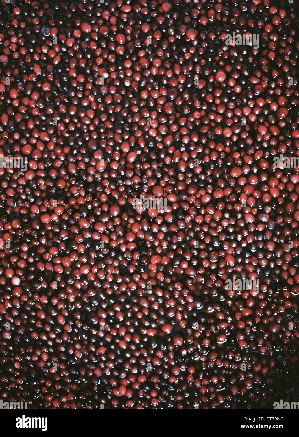 Small round objects hi-res stock photography and images - Alamy