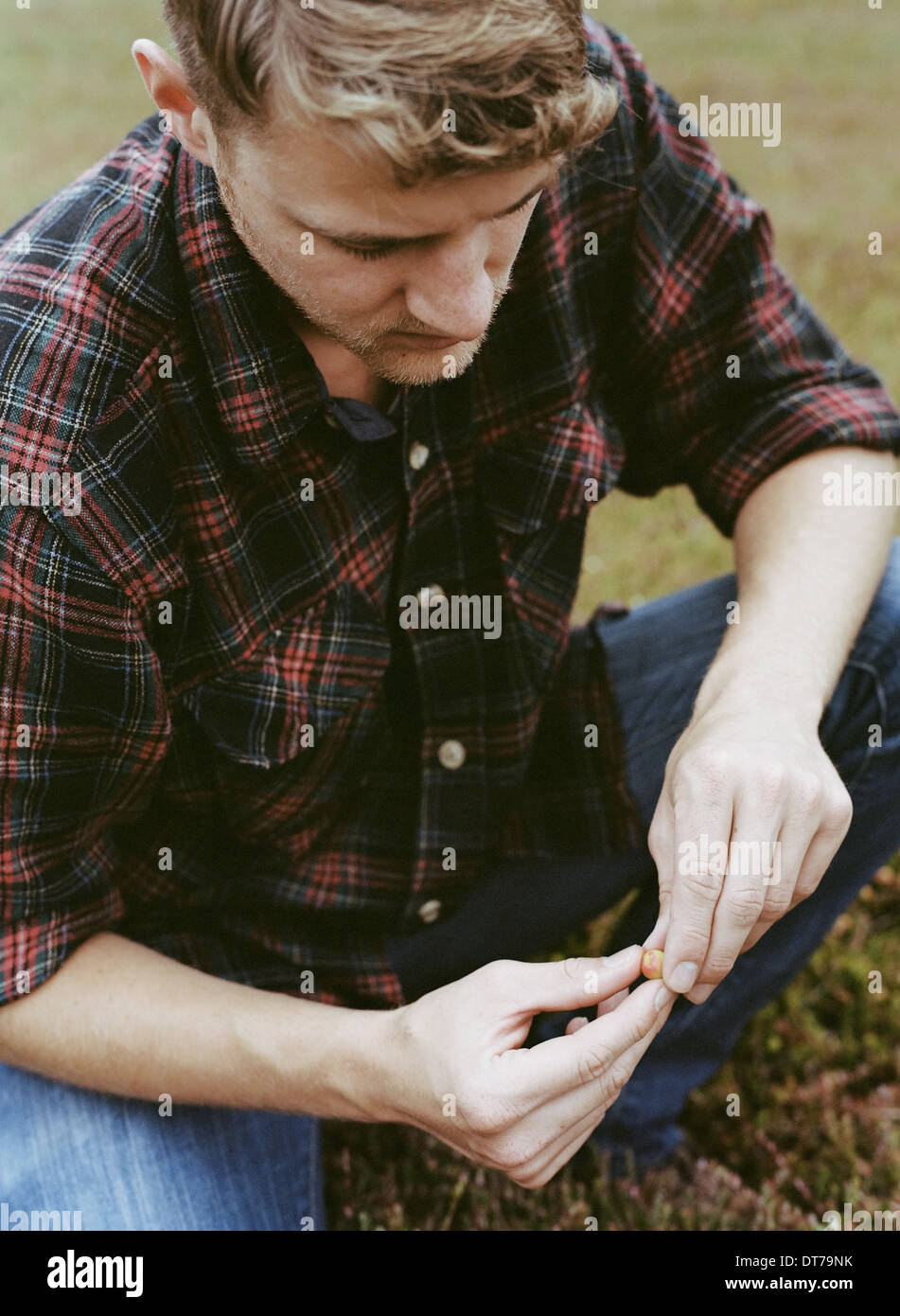 A cranberry farm in Massachusetts. Crops in the fields. A young man ...