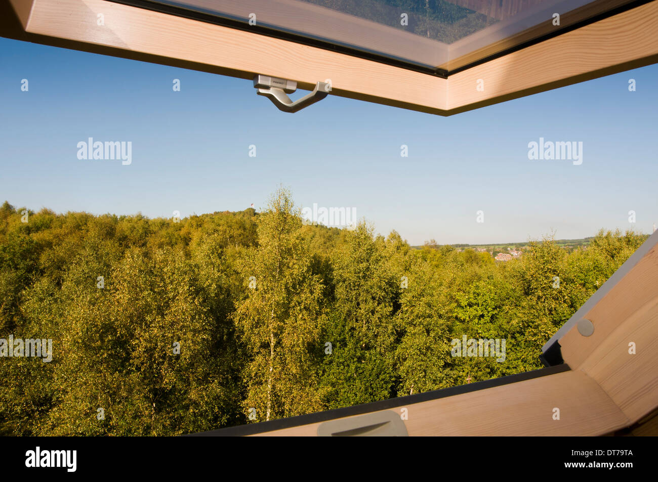 View house from forest hi-res stock photography and images - Alamy