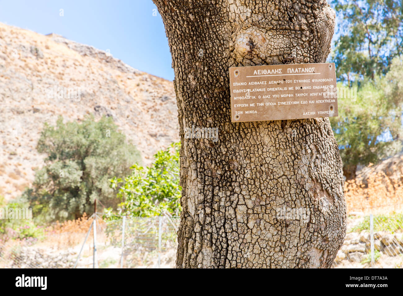 Monastery (friary) in Messara Valley at Crete island in Greece. Messara ...