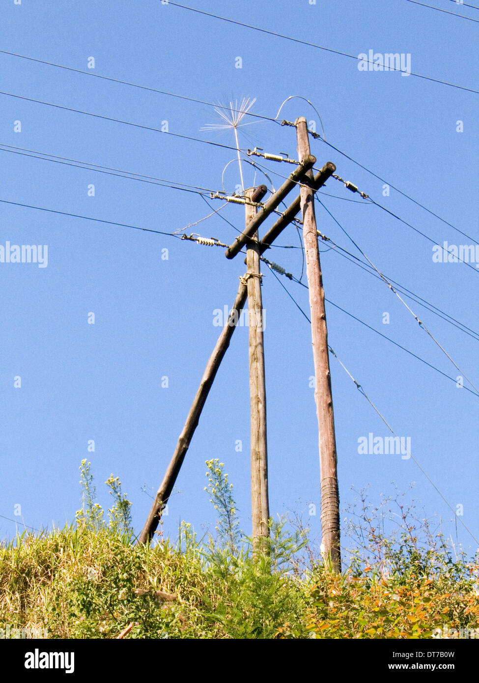 lightning conductor rural power lines child mother people cars Stock ...