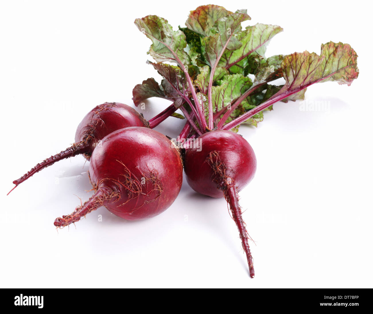 White beet hi-res stock photography and images - Alamy