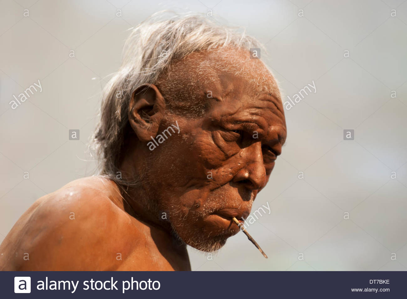 Neanderthal Sapiens High Resolution Stock Photography and Images - Alamy