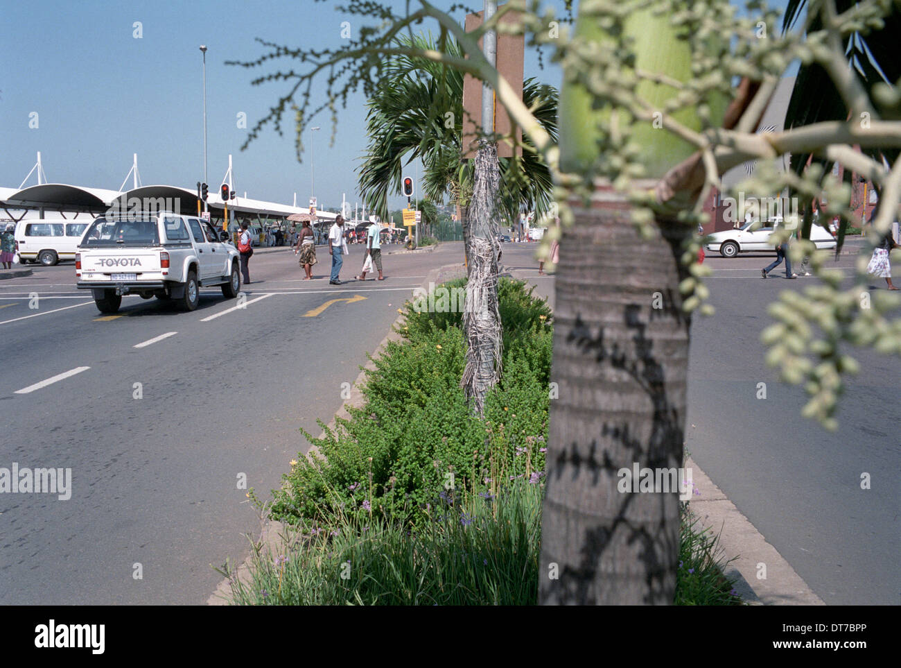 greening of urban space in kwamashu, kwazulu-natal south africa ...