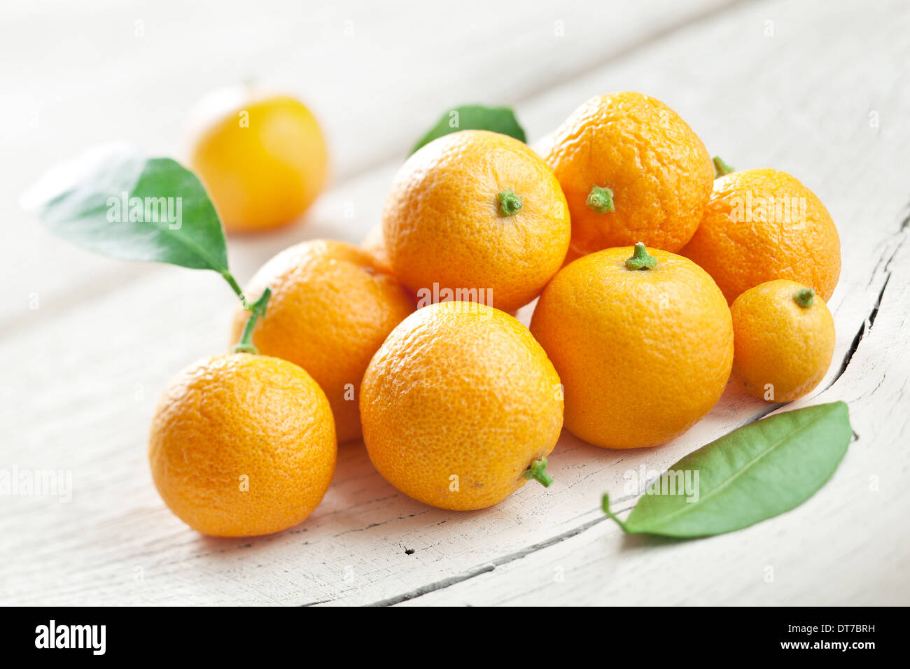 Old tangerine hi-res stock photography and images - Alamy