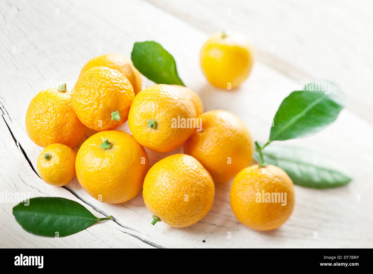Old tangerine hi-res stock photography and images - Alamy