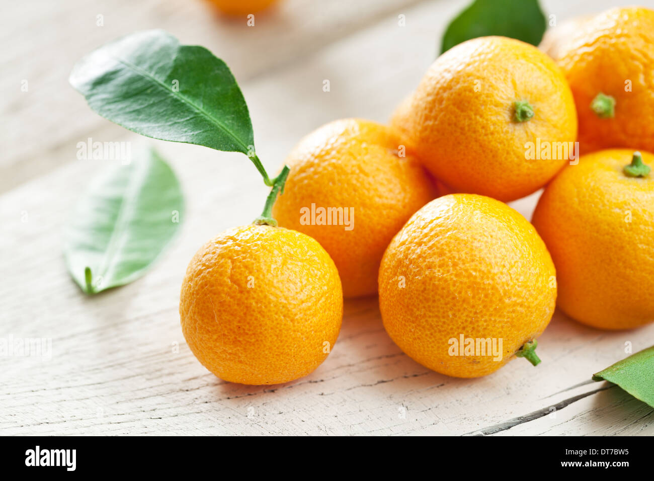Tangerine fruit hi-res stock photography and images - Alamy