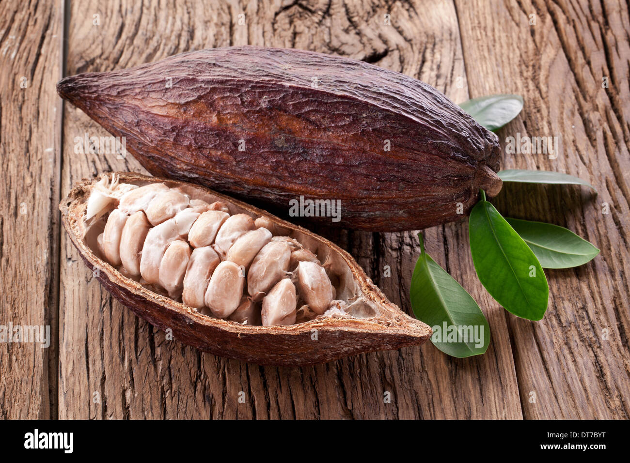 Open Cocoa Pod Stock Photos & Open Cocoa Pod Stock Images - Alamy