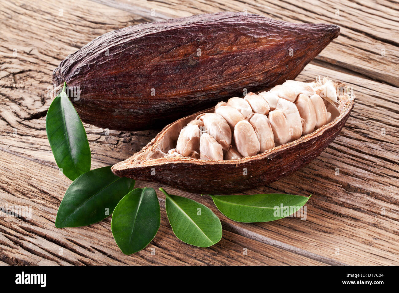 Open Cocoa Pod Stock Photos & Open Cocoa Pod Stock Images - Alamy