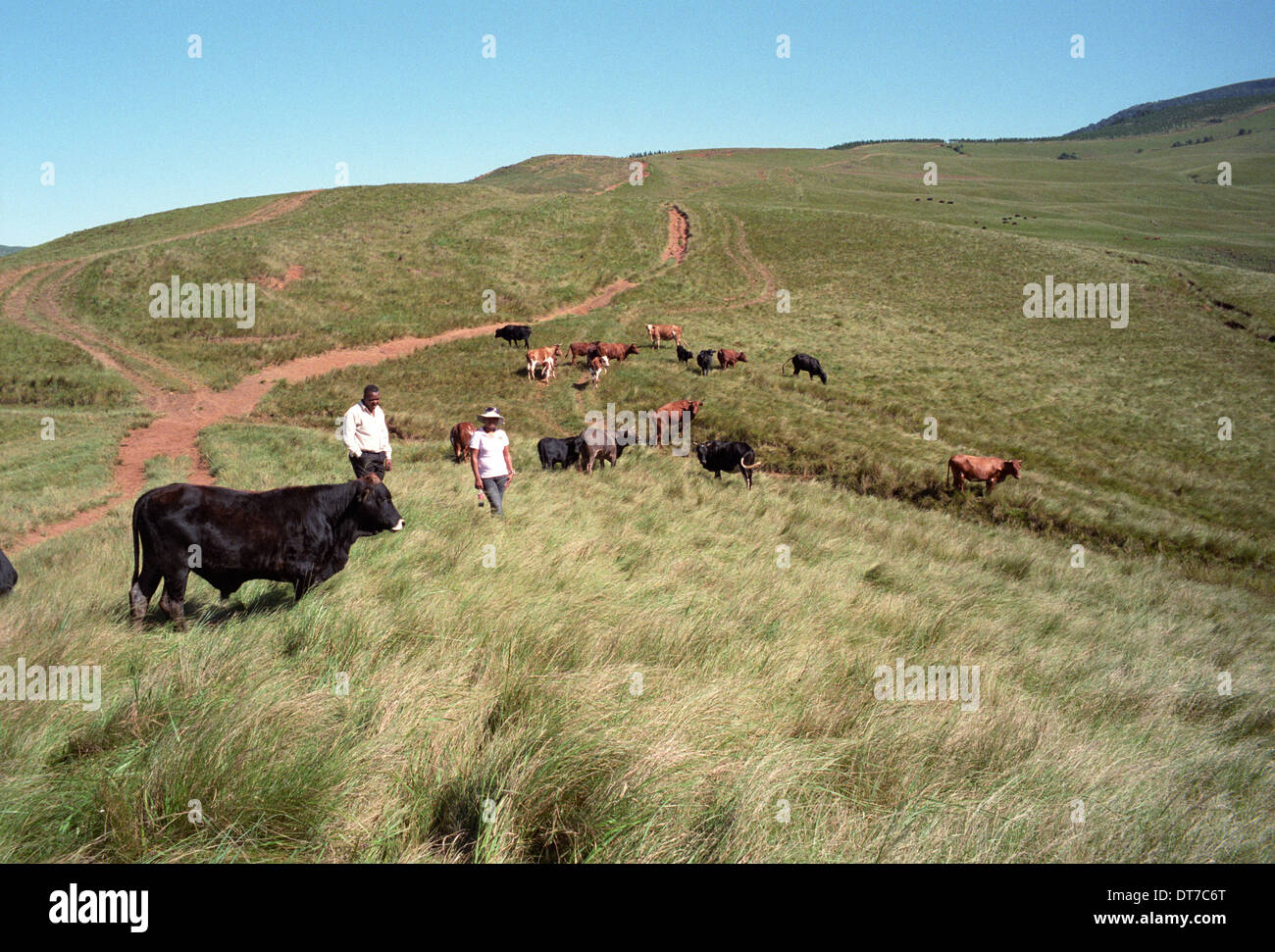 Passable roads hi-res stock photography and images - Alamy
