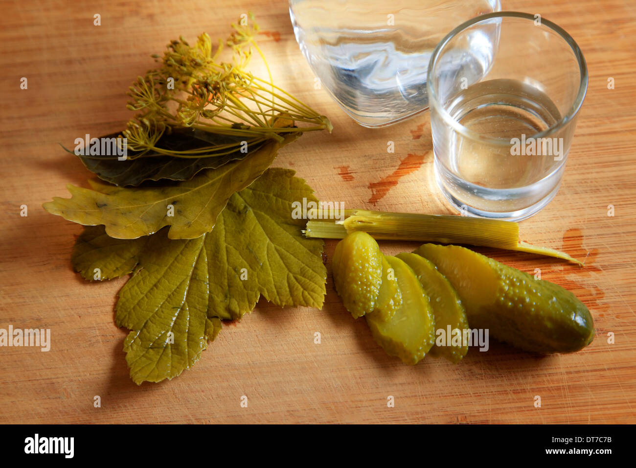 Pickled cucumber still life on old plank. Traditional russian appetizer ...