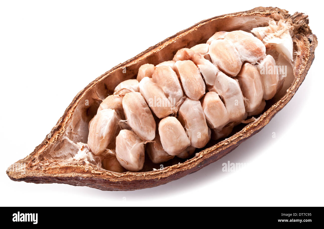 Open cocoa pod on a white background Stock Photo - Alamy